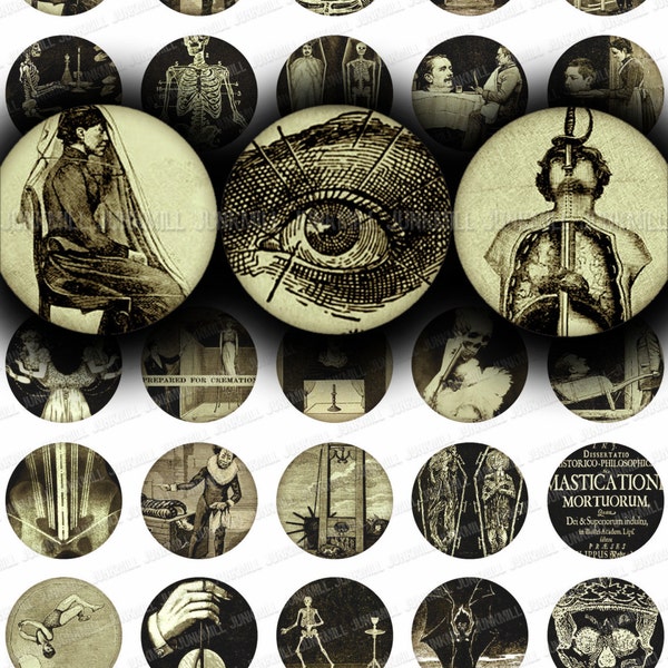 Occult Anatomy - Etsy