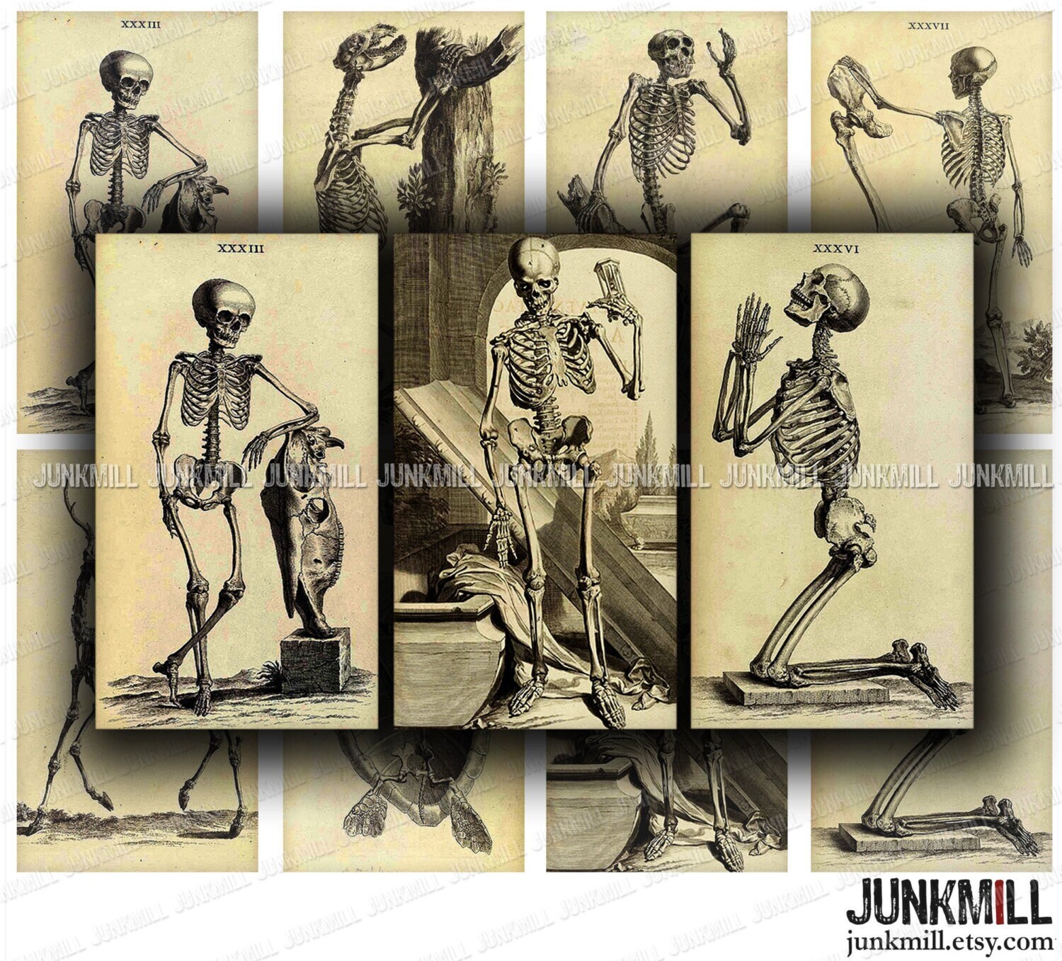 SKELETONS - Digital Printable Collage Sheet - Vintage Skeleton ...