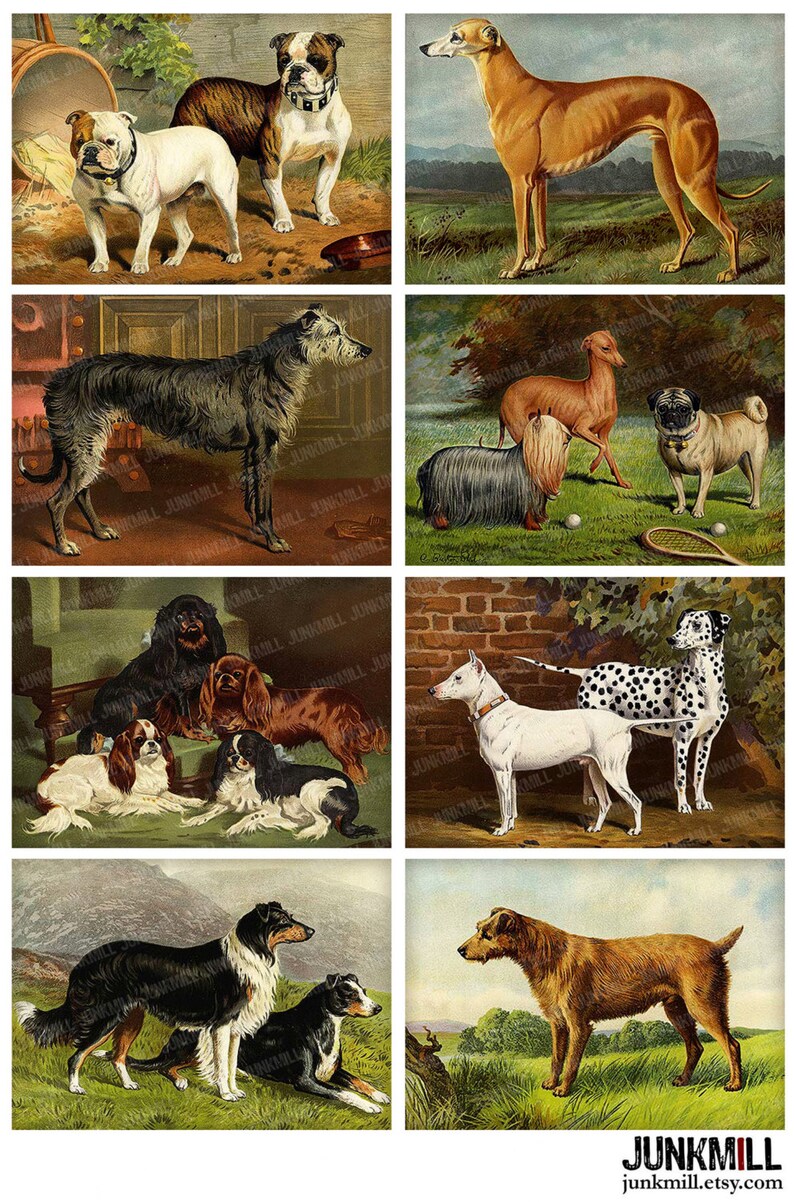 DOG BREEDS - Digital Printable Collage Sheet - Antique Dog ...