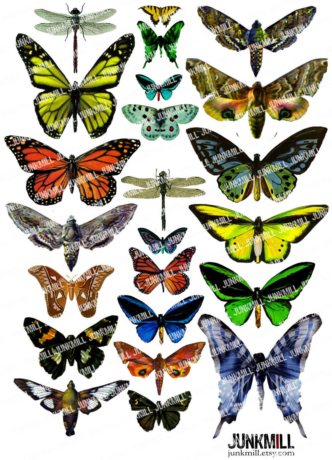 FLUTTERBY Digital Printable Collage Sheet Butterflies, Dragonflies ...