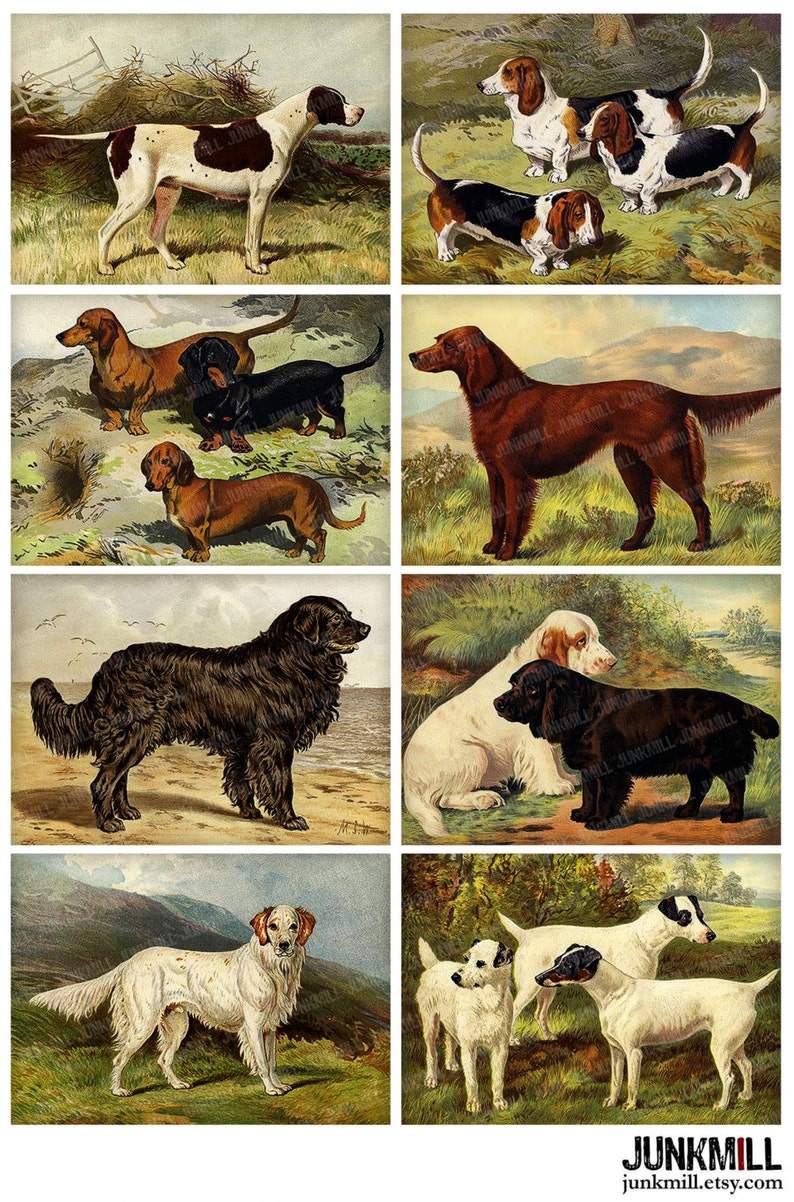 DOG BREEDS Digital Printable Collage Sheet Antique Dog - Etsy Australia