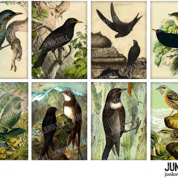 Raven Printable - Etsy