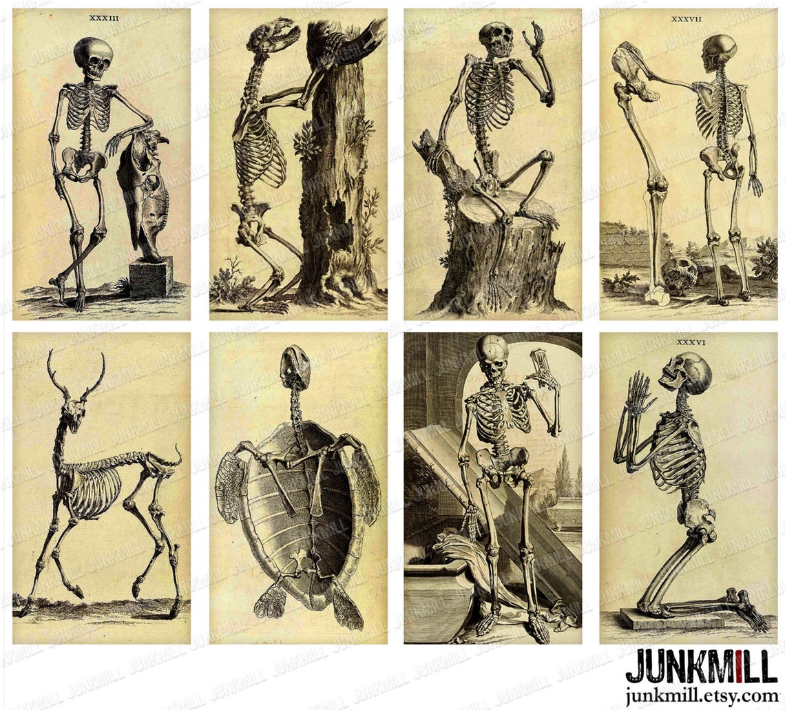 SKELETONS - Digital Printable Collage Sheet - Vintage Skeleton ...