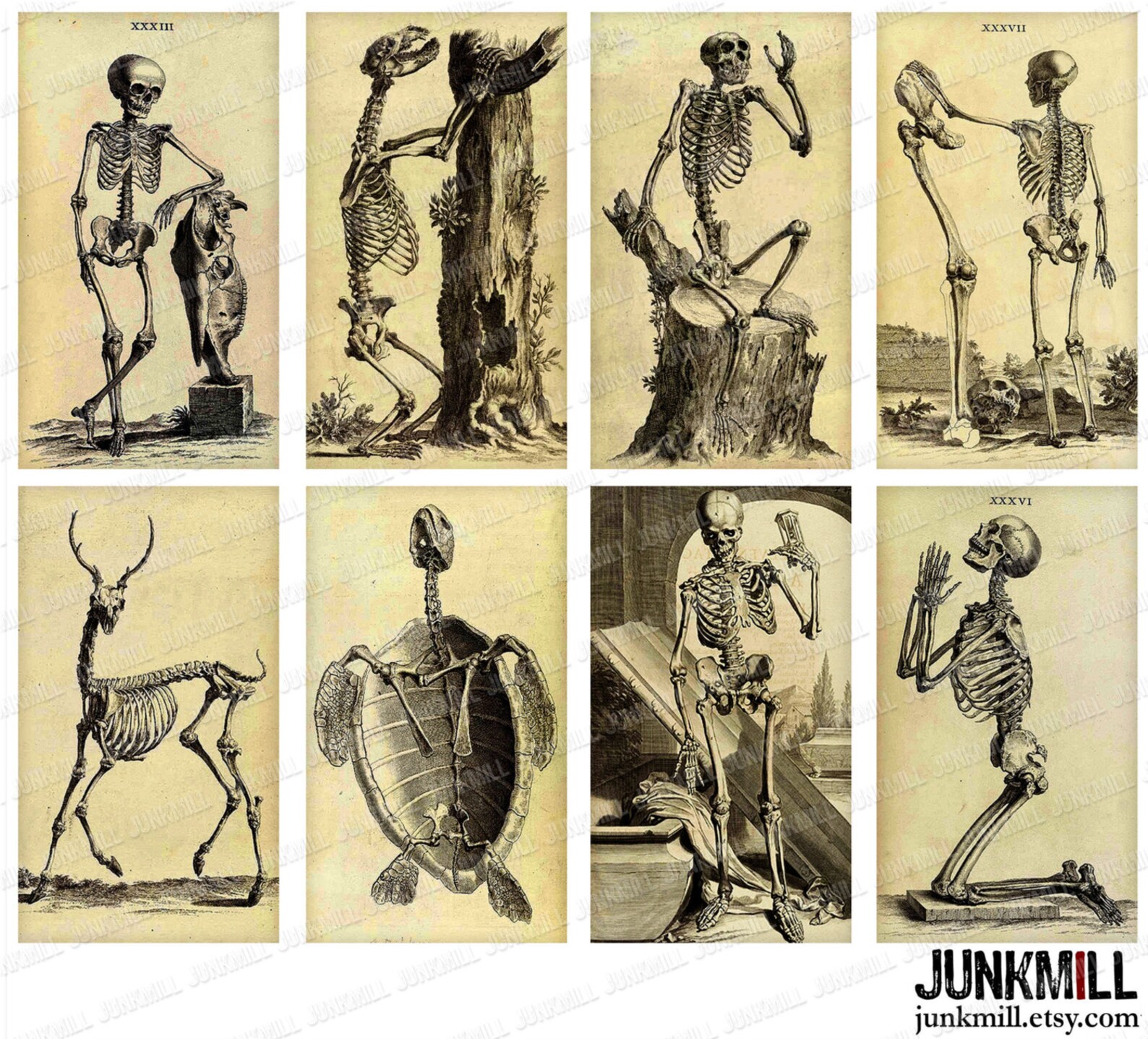 SKELETONS Digital Printable Collage Sheet Vintage Skeleton - Etsy