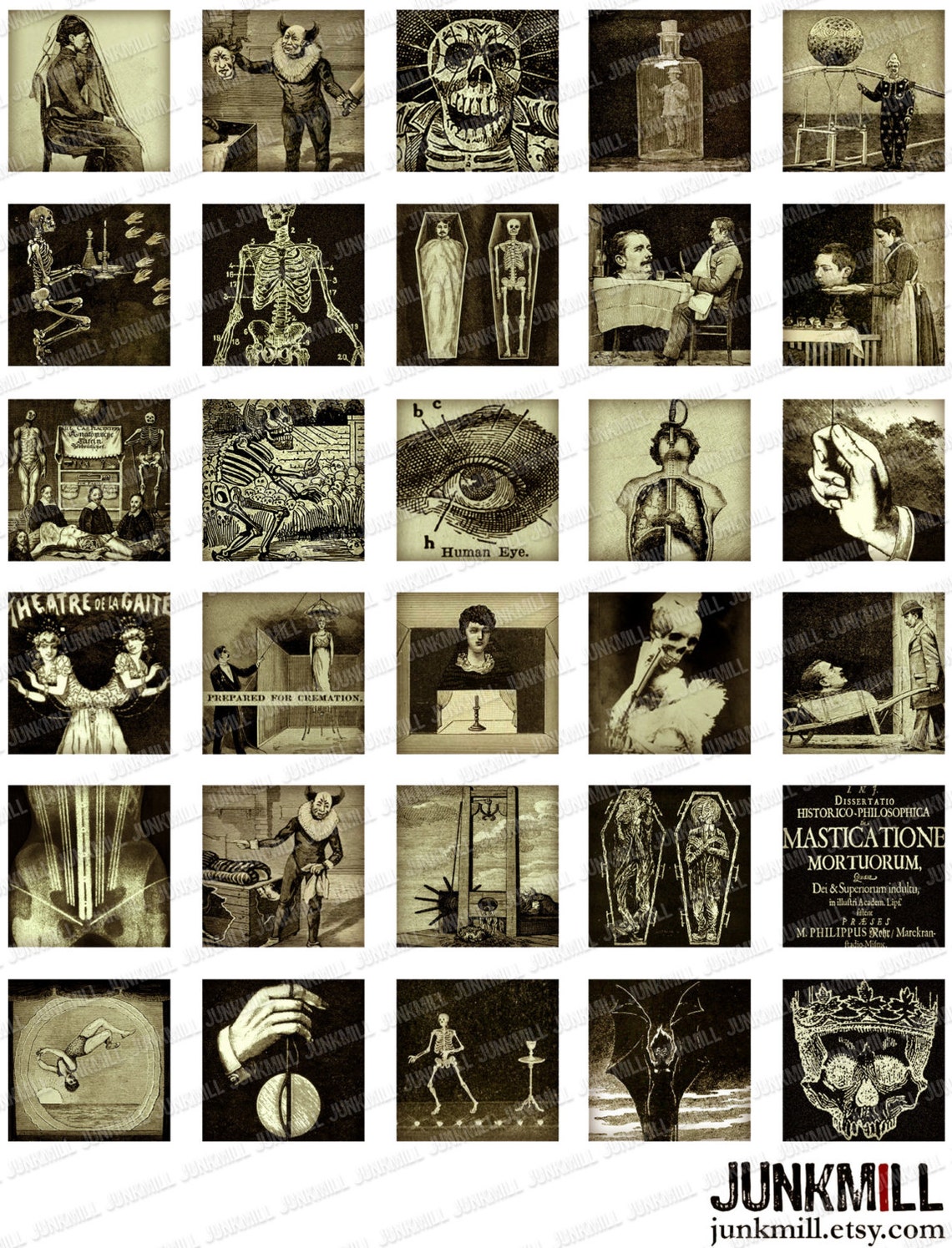 SUPERSTITIOUS Digital Printable Collage Sheet Anatomy | Etsy