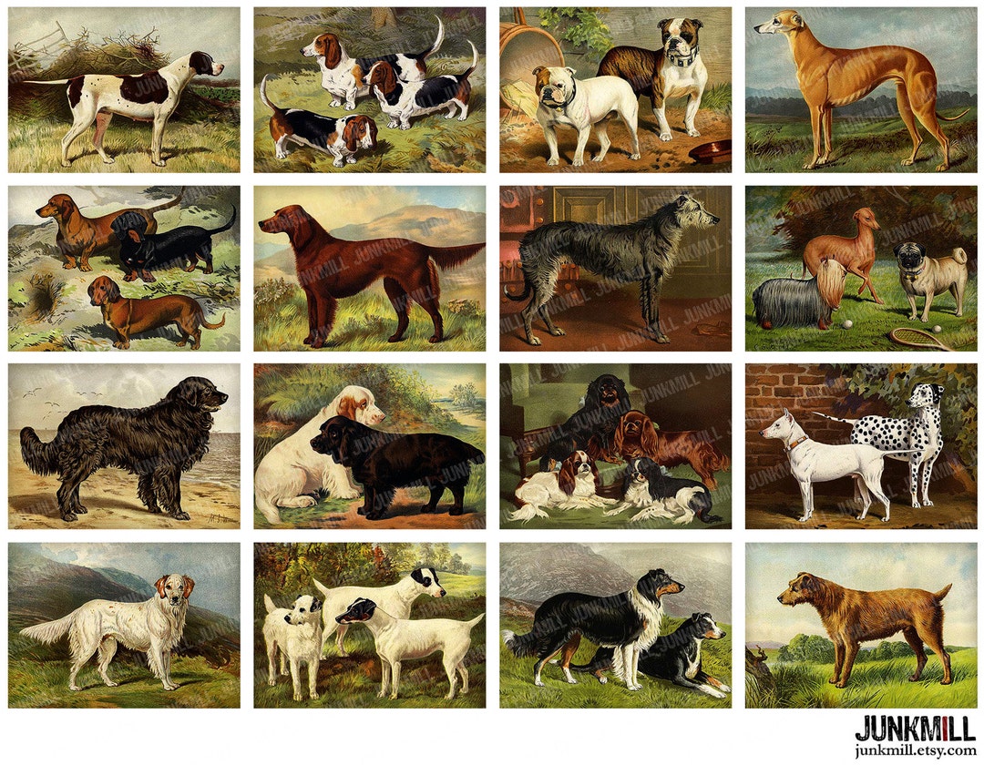 DOG BREEDS - Digital Printable Collage Sheet - Antique Dog ...