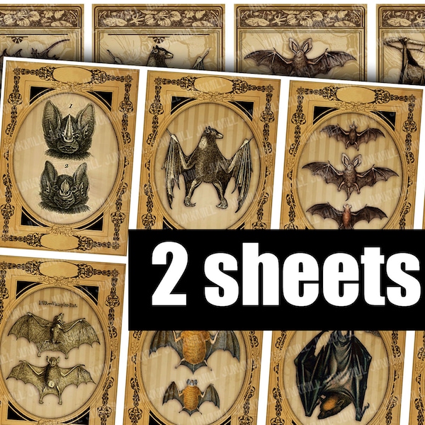Bat Transfer Sheet - Etsy