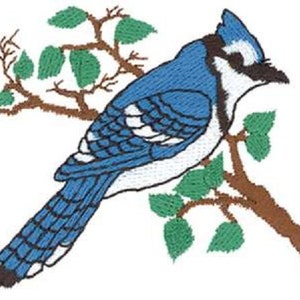 BLUE JAY BIRD Hat - Embroidered Men Women Wildlife Baseball Cap - Price ...