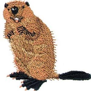 BEAVER Wildlife Baseball Hat - Embroidered Women Men Mom Dad Cap ...
