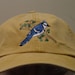 BLUE JAY BIRD Hat Embroidered Men Women Wildlife Baseball Cap Price ...