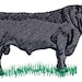 BLACK ANGUS Cow Farm Hat - One Embroidered Men Women Rancher Cap ...