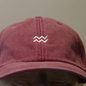 AQUARIUS ZODIAC ASTROLOGY Hat Embroidered Astrological Adult Cap Price ...