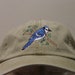 BLUE JAY BIRD Hat Embroidered Men Women Wildlife Baseball Cap Price ...