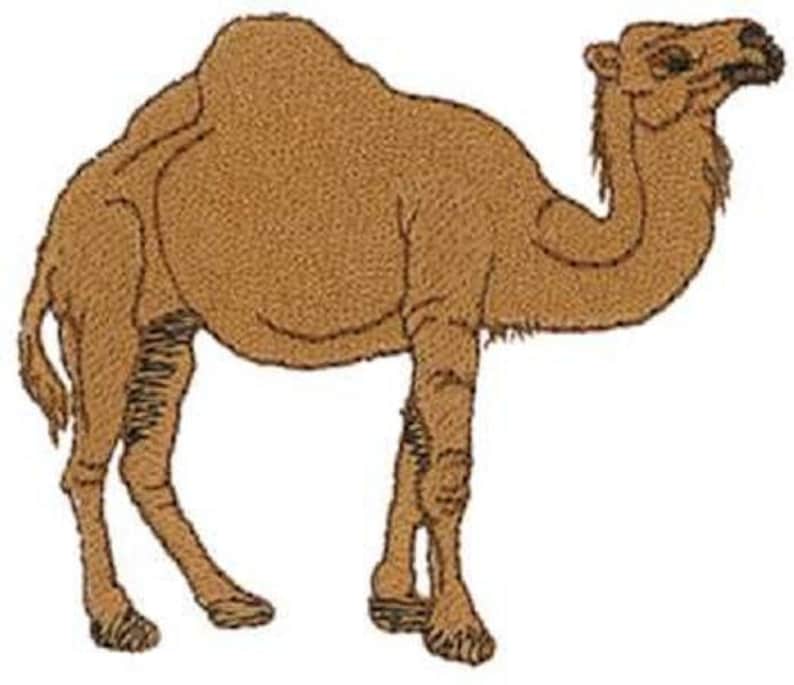 CAMEL HAT One Embroidered Men Women Wildlife Baseball Gift - Etsy