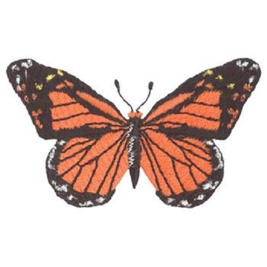 MONARCH BUTTERFLY HAT - Embroidered Men Women Insect Wildlife Cap ...