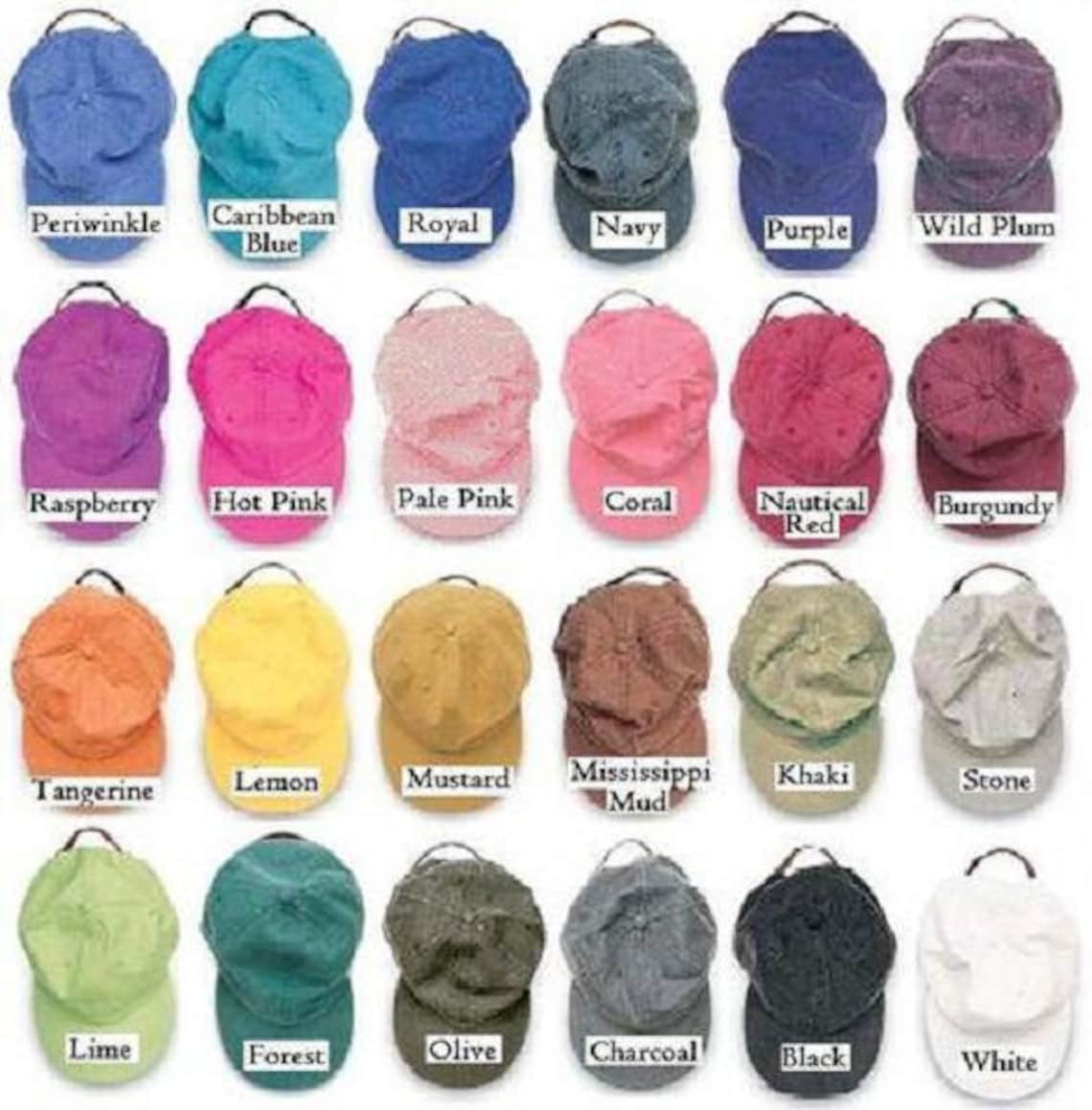 CAROLINA WREN State Bird Hat Embroidered Men Women Wildlife | Etsy