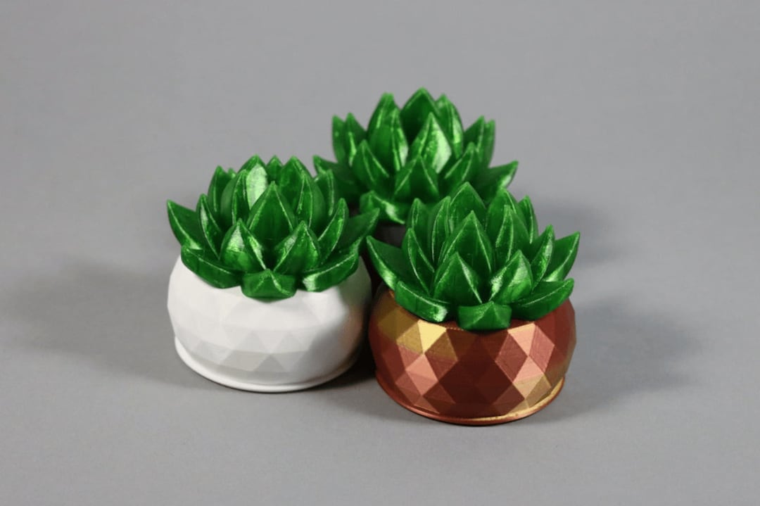 Small Desk Plant - Etsy