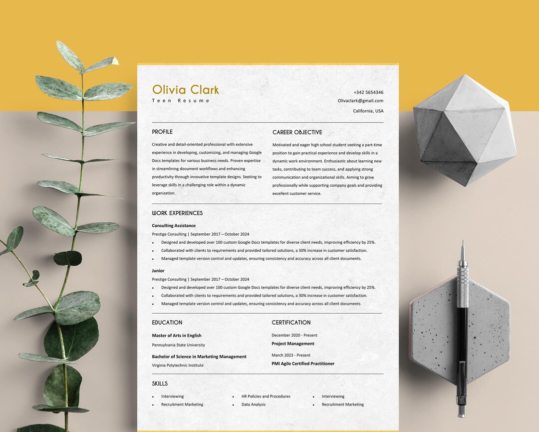 Teen Resume Template: High School Student, Entry Level CV (DOC & PDF ...