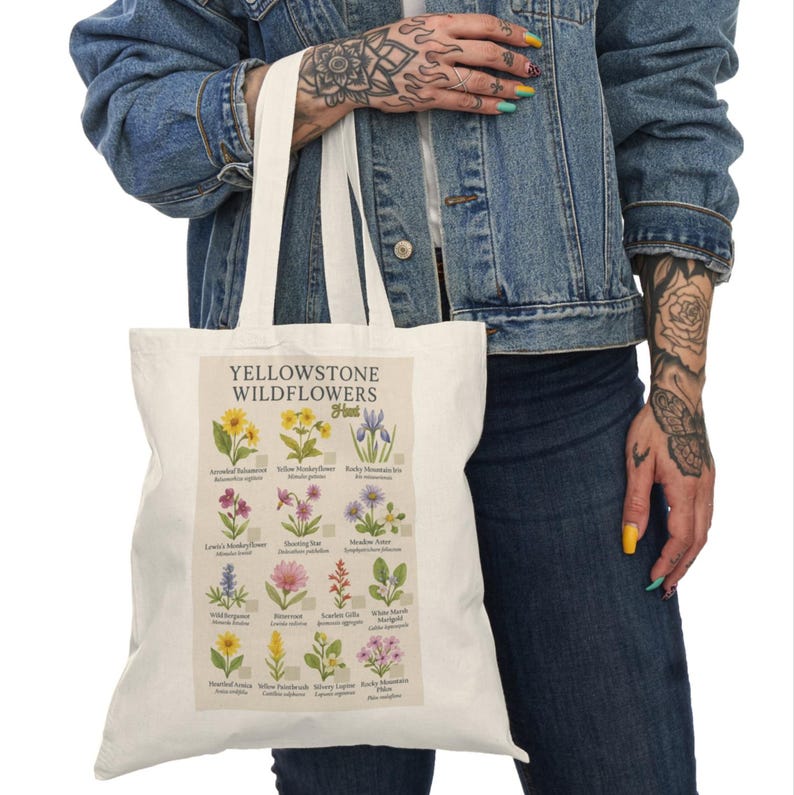 National Park Yellowstone, Wildflowers Hunt PNG, Hiking Activity ...