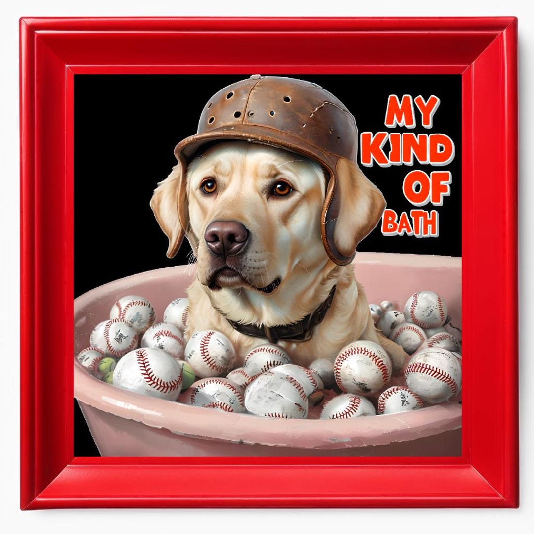 My Kind of Bath PNG, Chocolate Labrador Retriever Png, Labrador ...