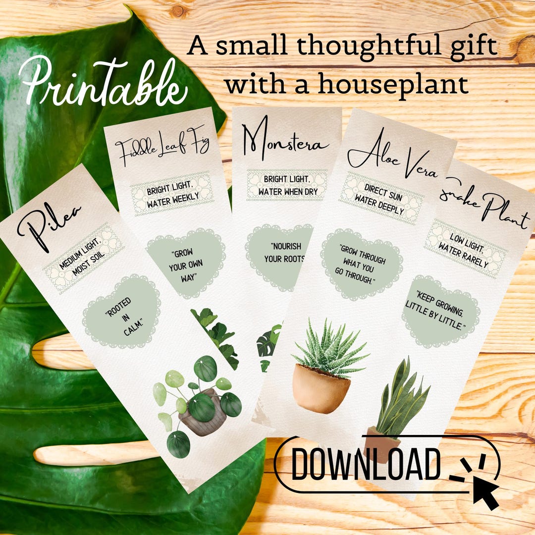 Plant Care Bookmarks | Printable Affirmation Bookmarks | Plant Care ...