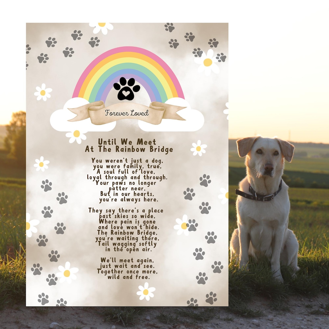 The Rainbow Bridge Poem, Printable Loss of Dog Card, Pet Loss Memorial ...