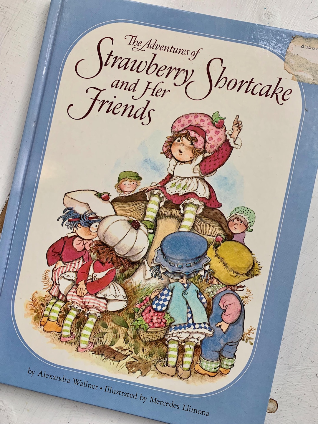 Vintage the Adventures of Strawberry Shortcake and Her Friends Book ...