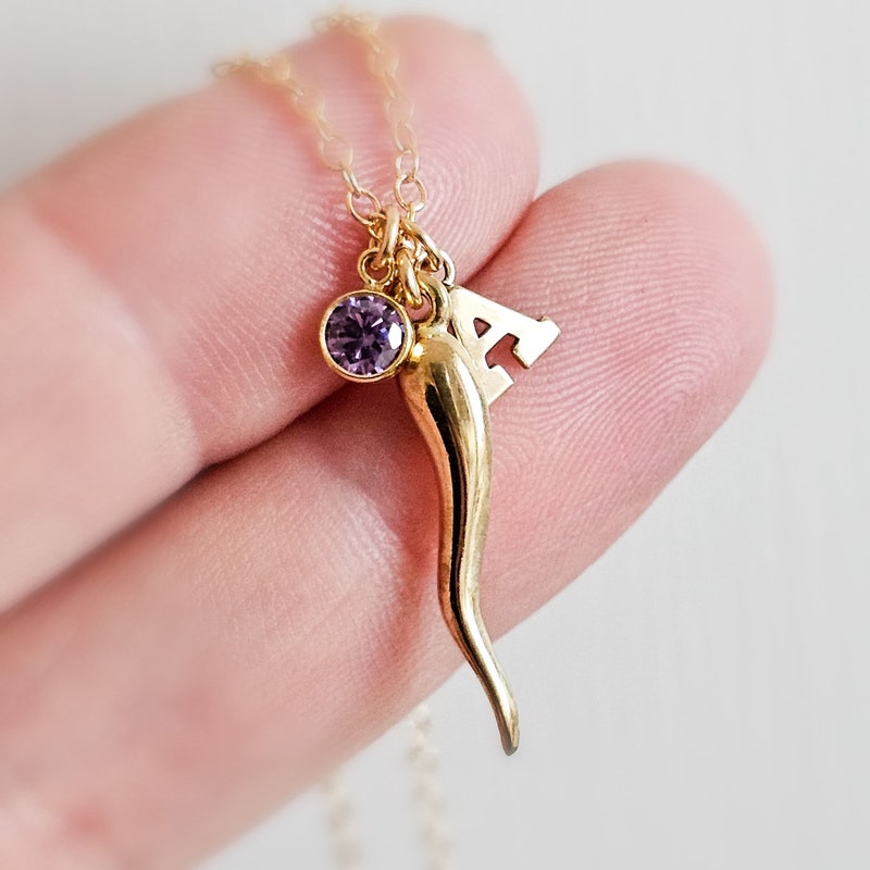 Italian Horn Necklace - Etsy