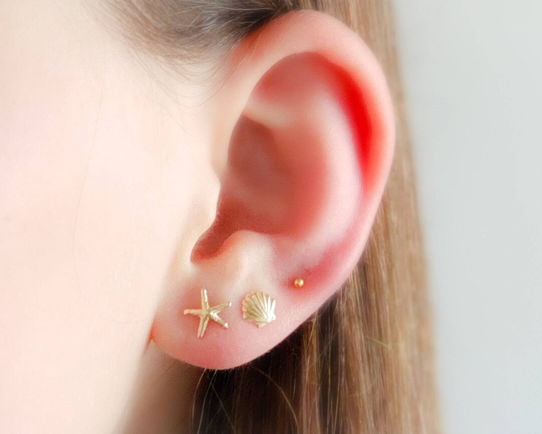Seashell Stud Set Starfish Stud Shell Studs Tiny Earring - Etsy