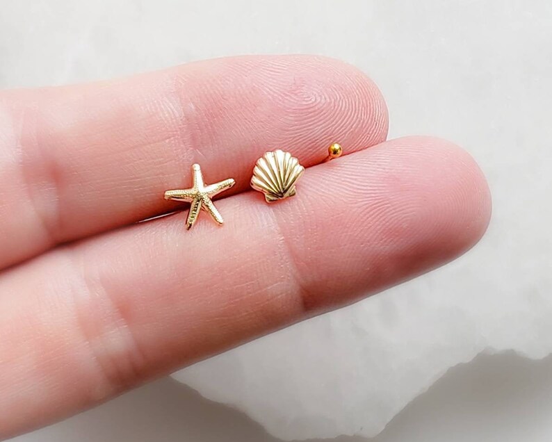 Seashell Stud Set Starfish Stud Shell Studs Tiny Earring | Etsy