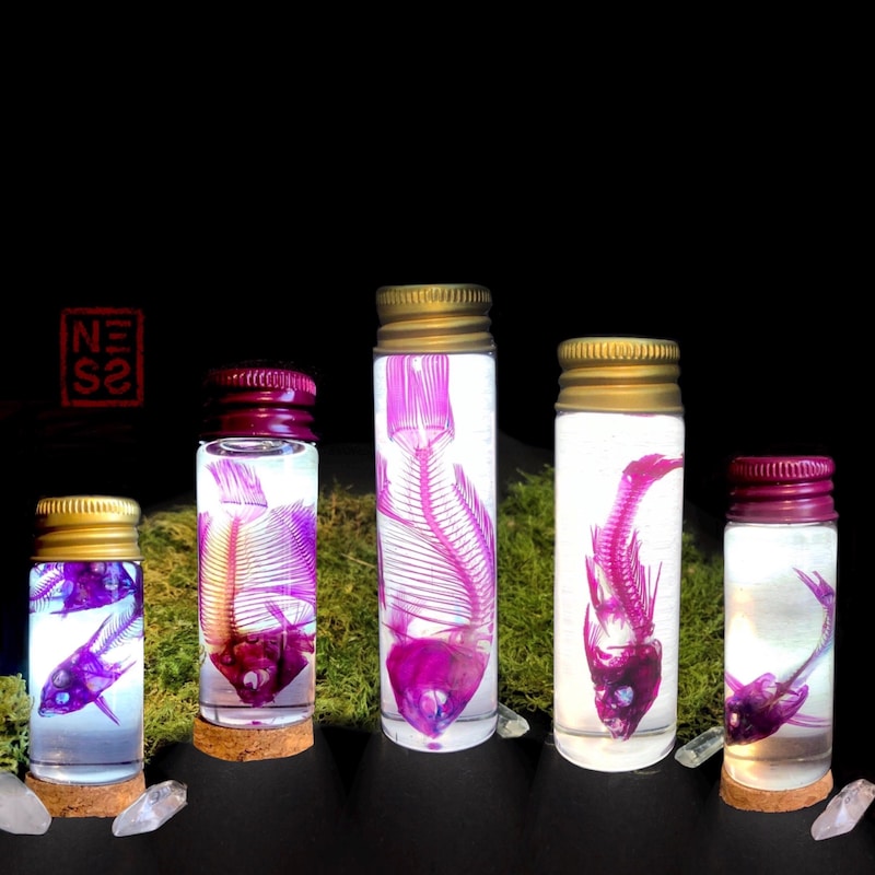 Diaphonization - Etsy