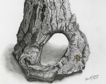 Nature Pencil Drawings Prints Wood Series - Etsy