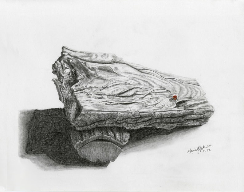 Nature Pencil Drawings Prints Wood Series - Etsy