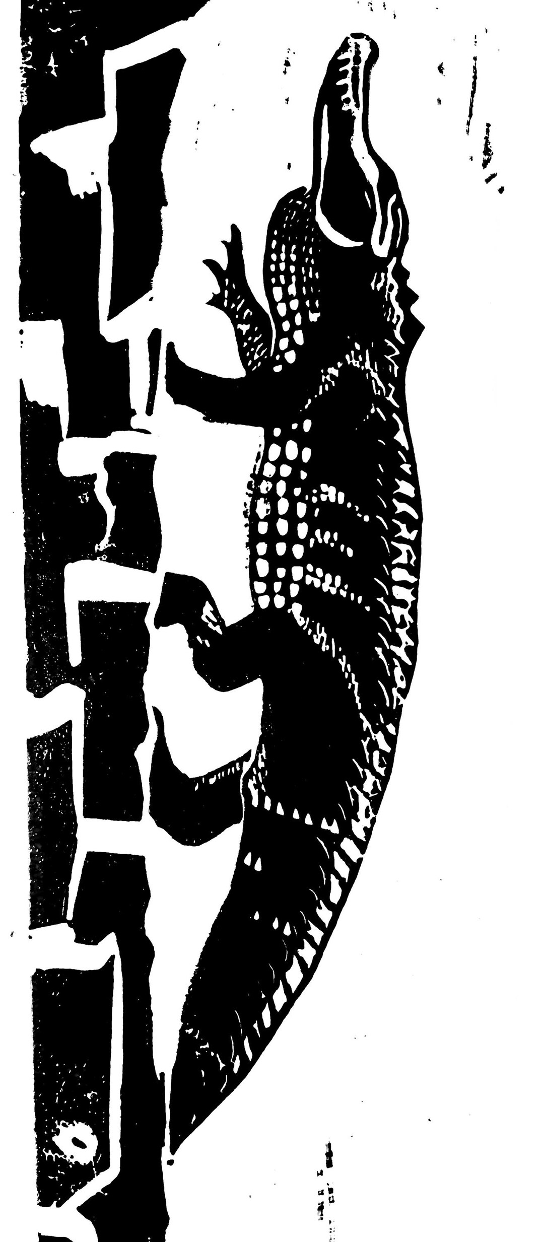 Climbing Alligator Lino Print - Etsy