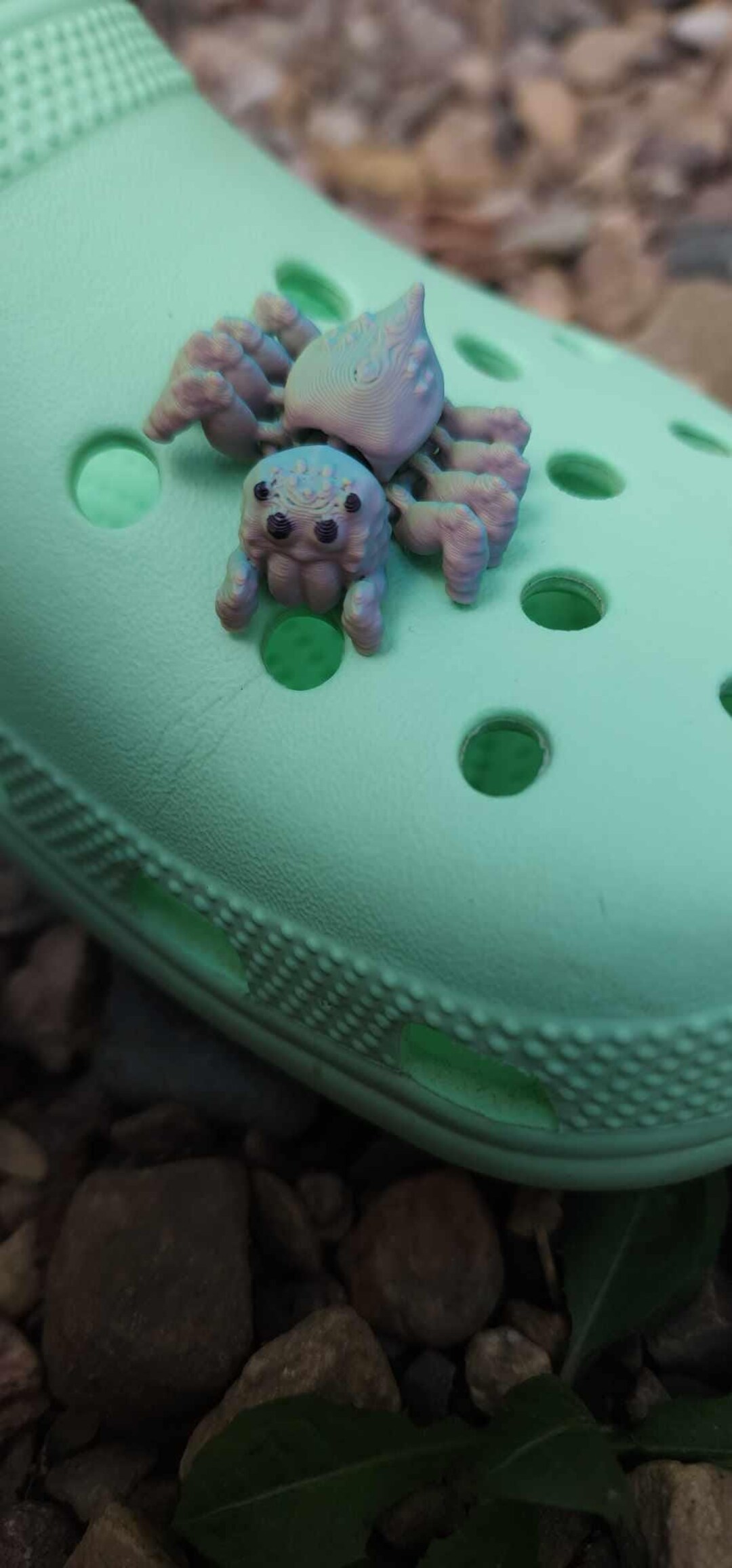A Set (2) Adorable Jumping Spider Shoe Charm - Etsy
