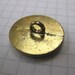 10 Large Gold Metallic Shank Hepton Buttons - Etsy