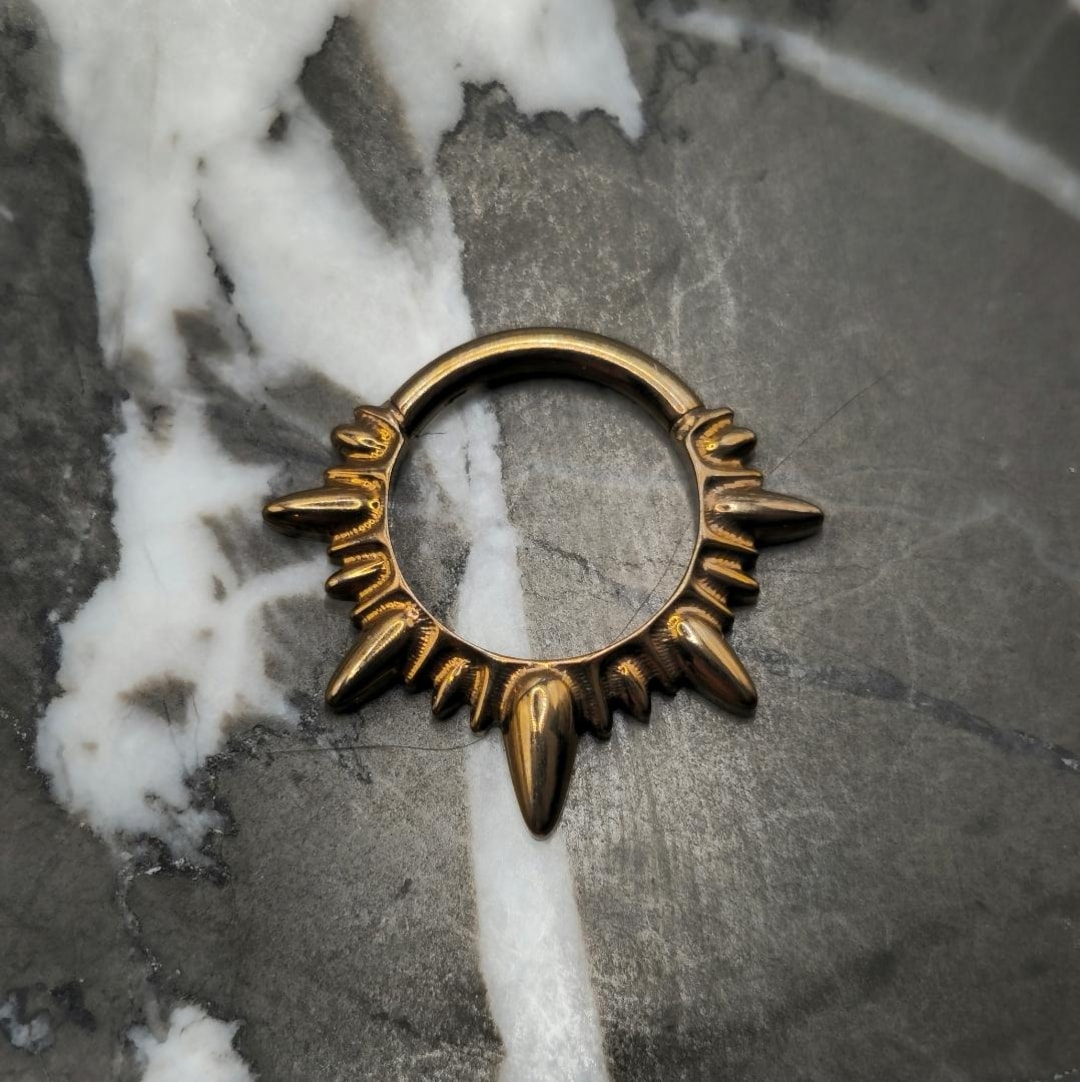 Medieval Bronze Spike Septum Clicker, ASTM F 136 Titanium Daith Hinged ...
