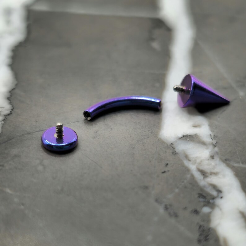 Titanium Vertical Labret Lip Ring, Full Moon Hammered Disc + Spike ...