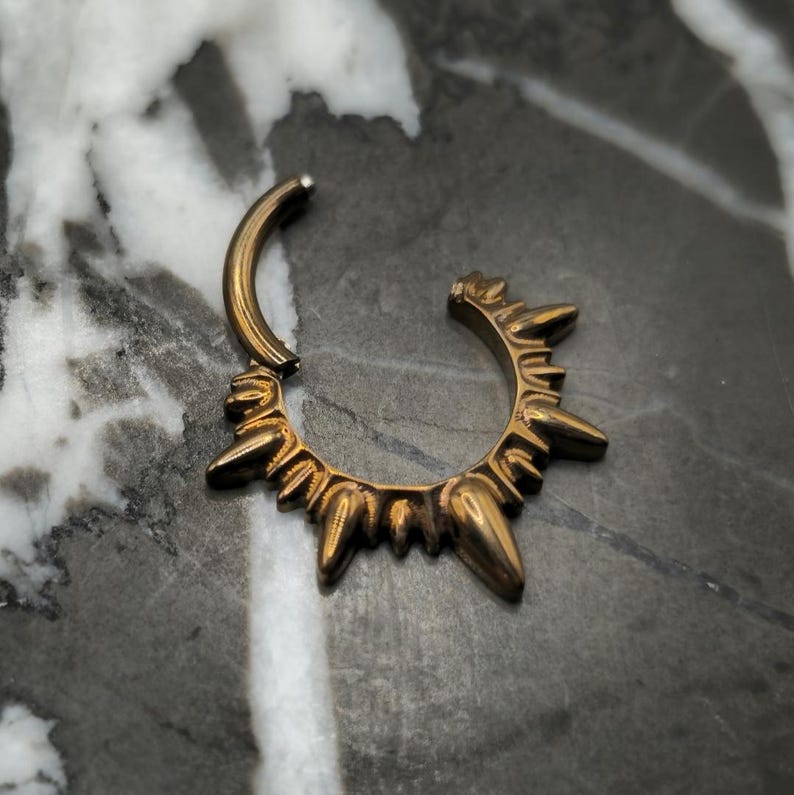 Medieval Bronze Spike Septum Clicker, ASTM F 136 Titanium Daith Hinged ...
