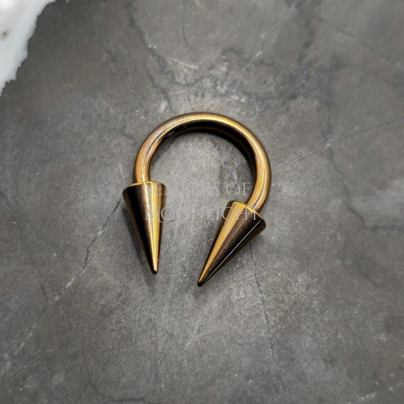 Fancy Titanium Nose Ring - Etsy