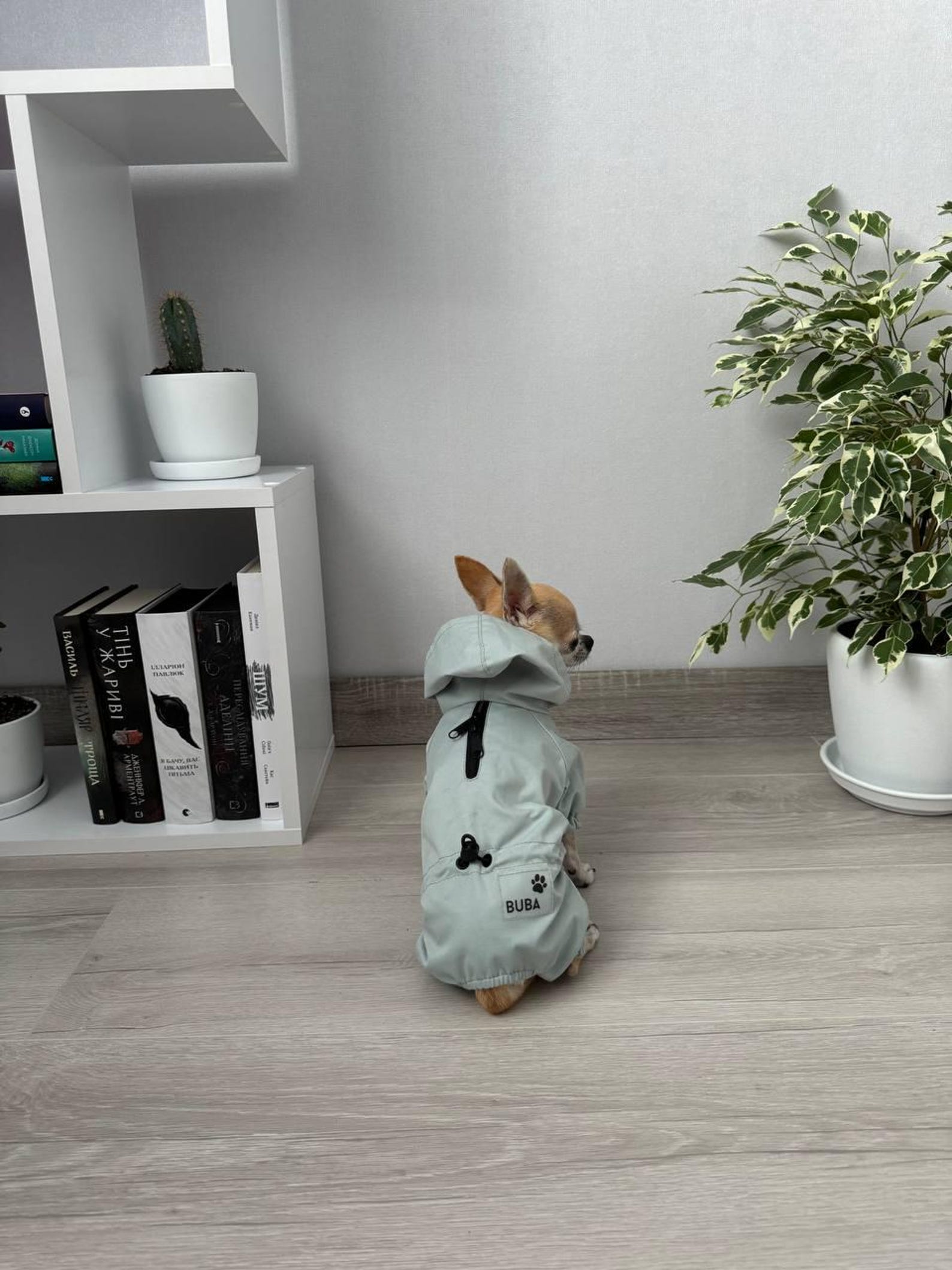 Coat for Large Dogs, Large Dog Raincoat, Custom Pet Gifts, Big Dog ...