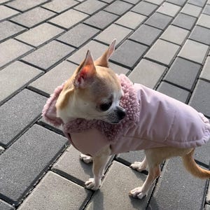 Soft Pink Dog Jacket, Large Dog Clothes, Dog Gifts, Custom Pet Gifts ...