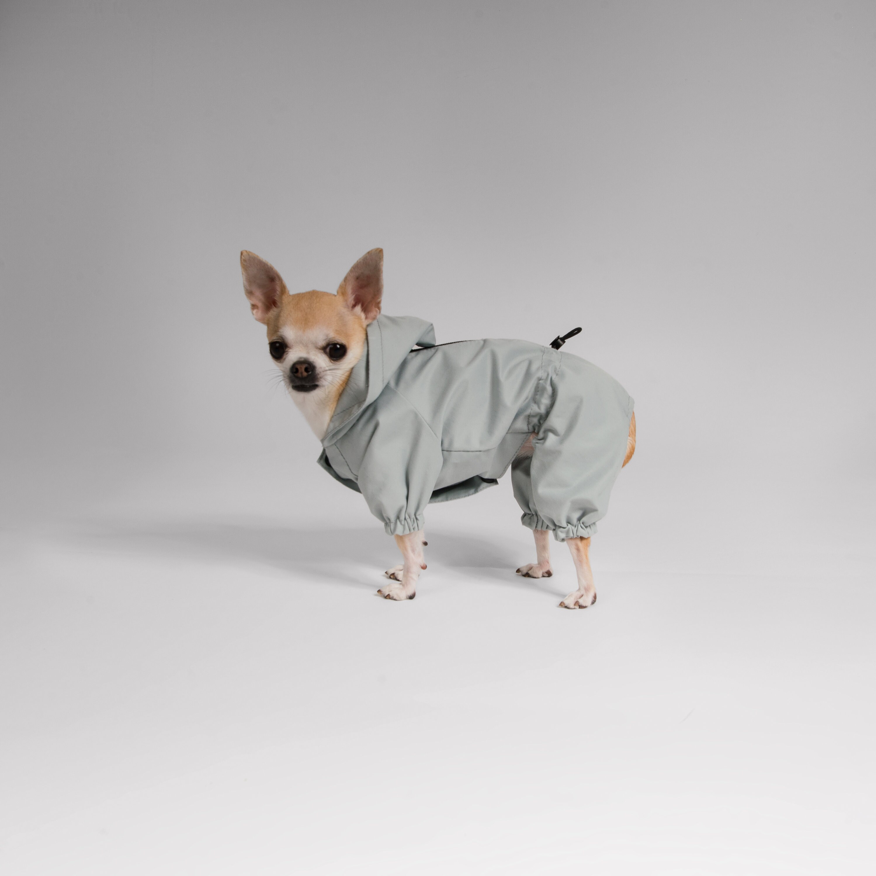 Coat for Large Dogs, Large Dog Raincoat, Custom Pet Gifts, Big Dog ...