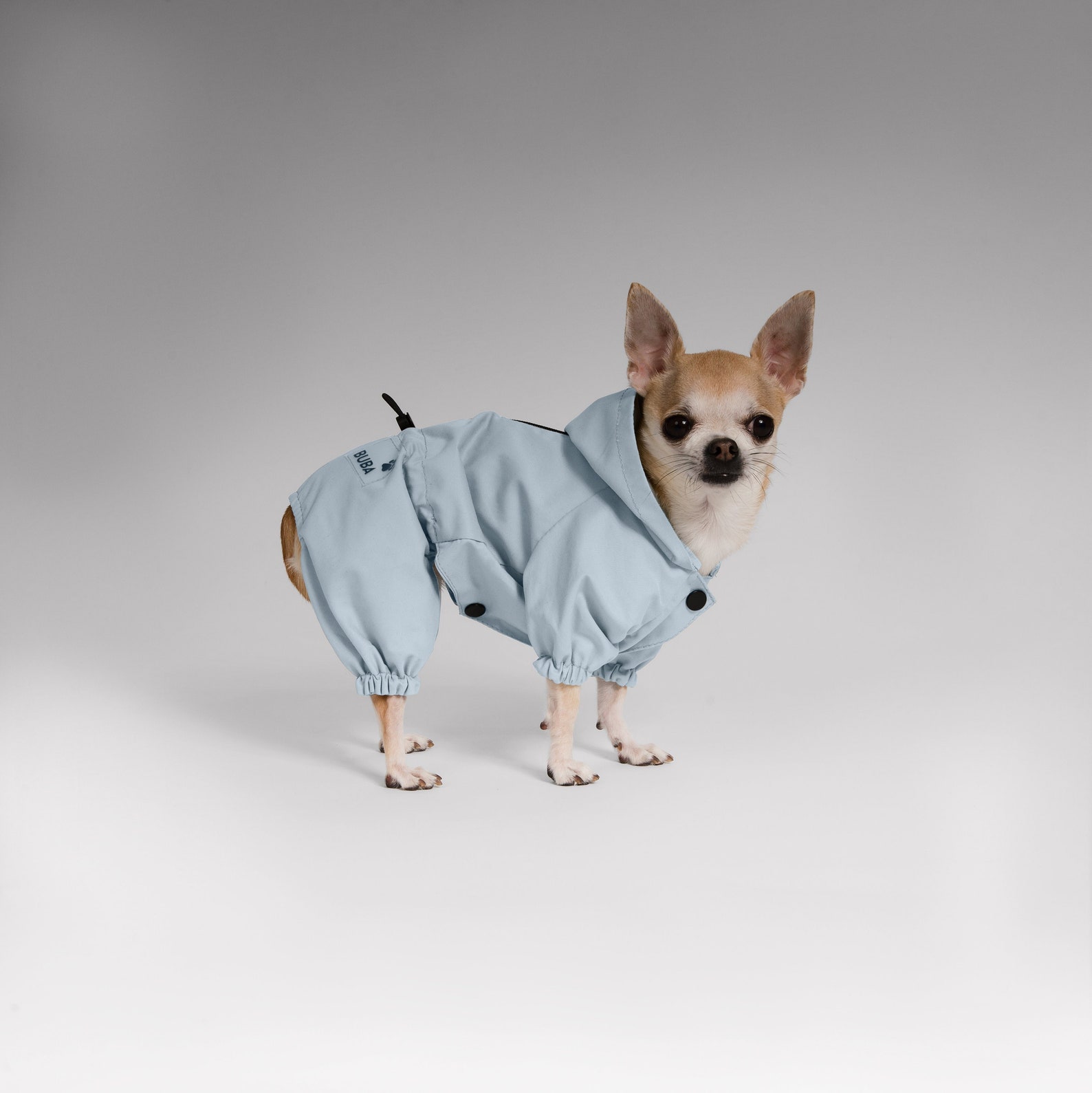 Coat for Large Dogs, Large Dog Raincoat, Custom Pet Gifts, Big Dog ...