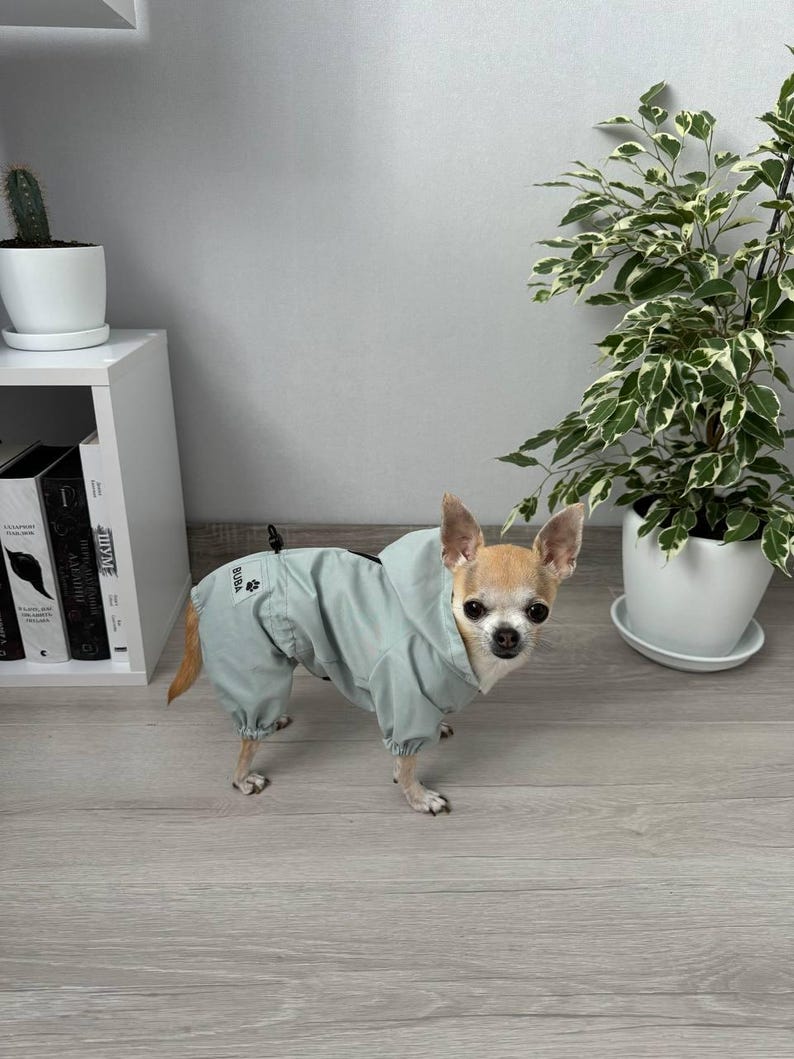 Coat for Large Dogs, Large Dog Raincoat, Custom Pet Gifts, Big Dog ...