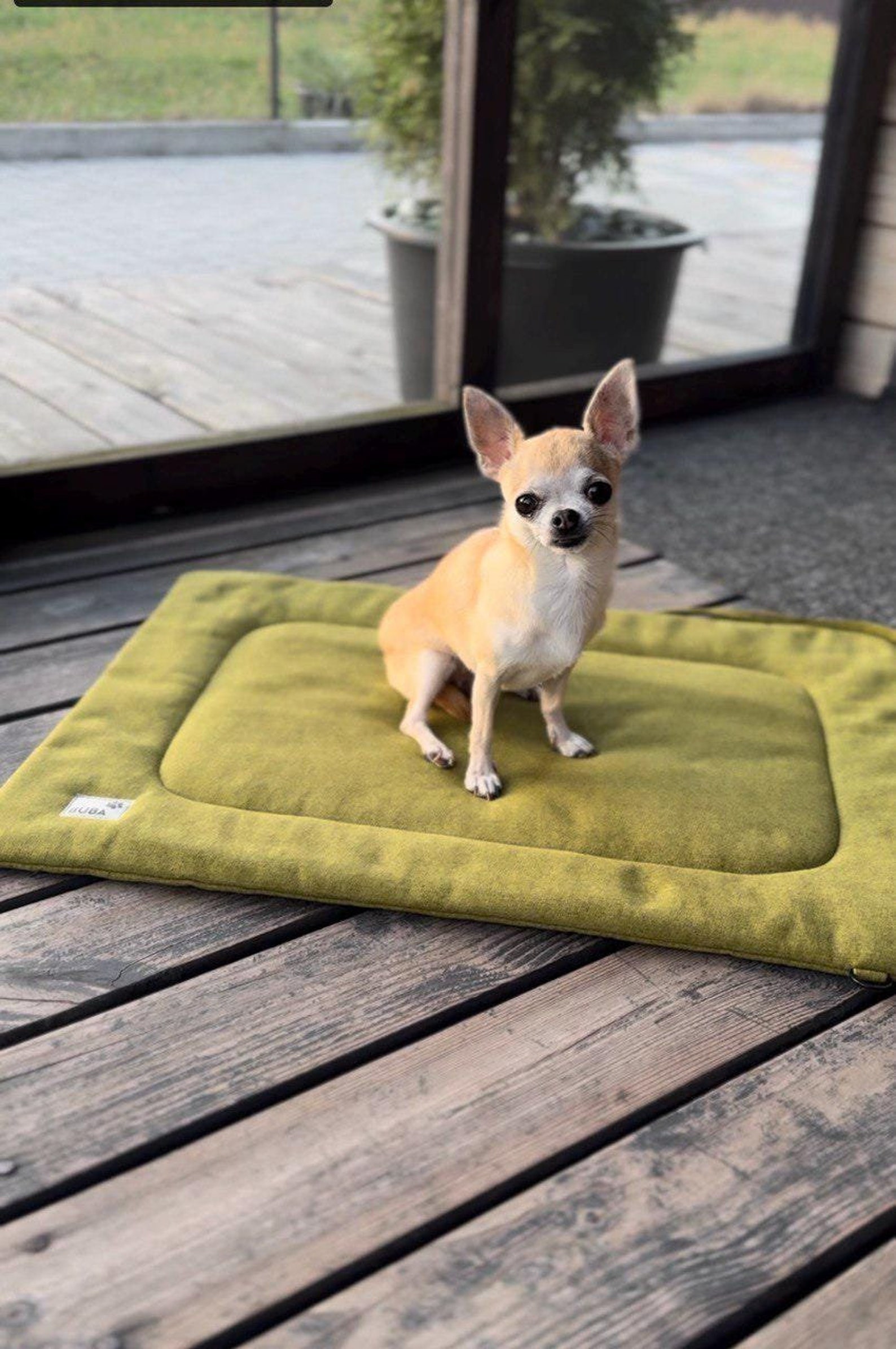 Travel Mat for Dogs, Roll-up Soft Mat for Pets, Comfortable Mattress ...