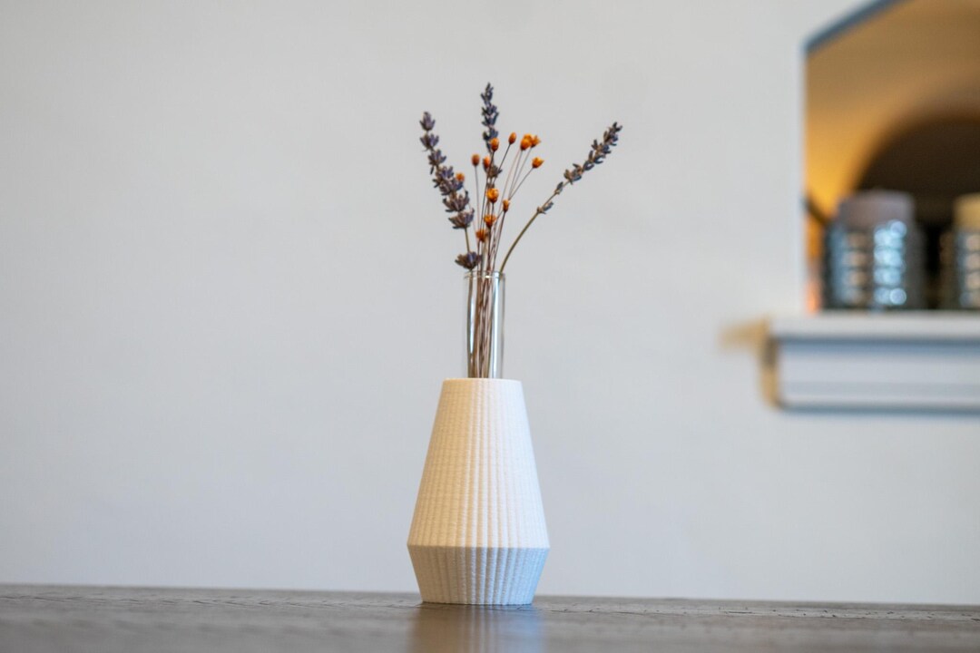 Geometric Cone Bud Vase: 3D Printed Propagation Station With Glass Test ...
