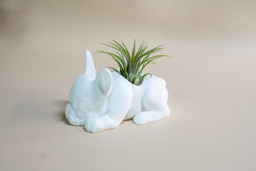 Frenchie Air Plant Holder / Cute Dog Planter / LIGHTWEIGHT / 3D Printed ...
