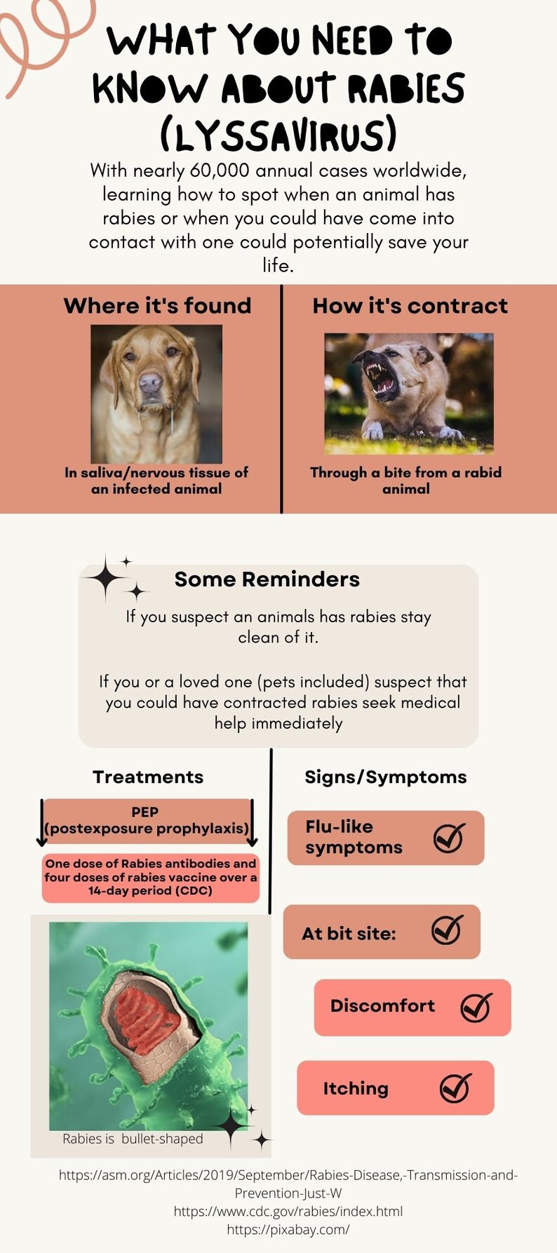 Educational Rabies Infographic Digital Download Rabies Awareness Poster ...