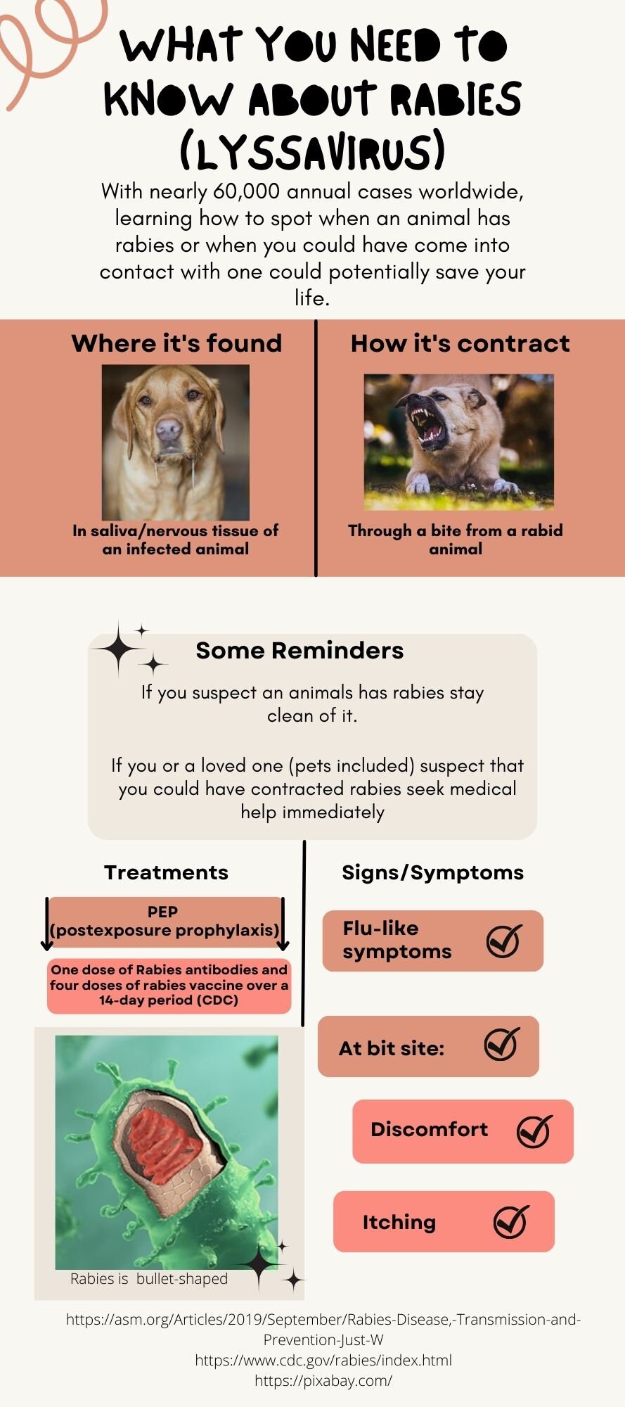 Educational Rabies Infographic Digital Download Rabies Awareness Poster ...